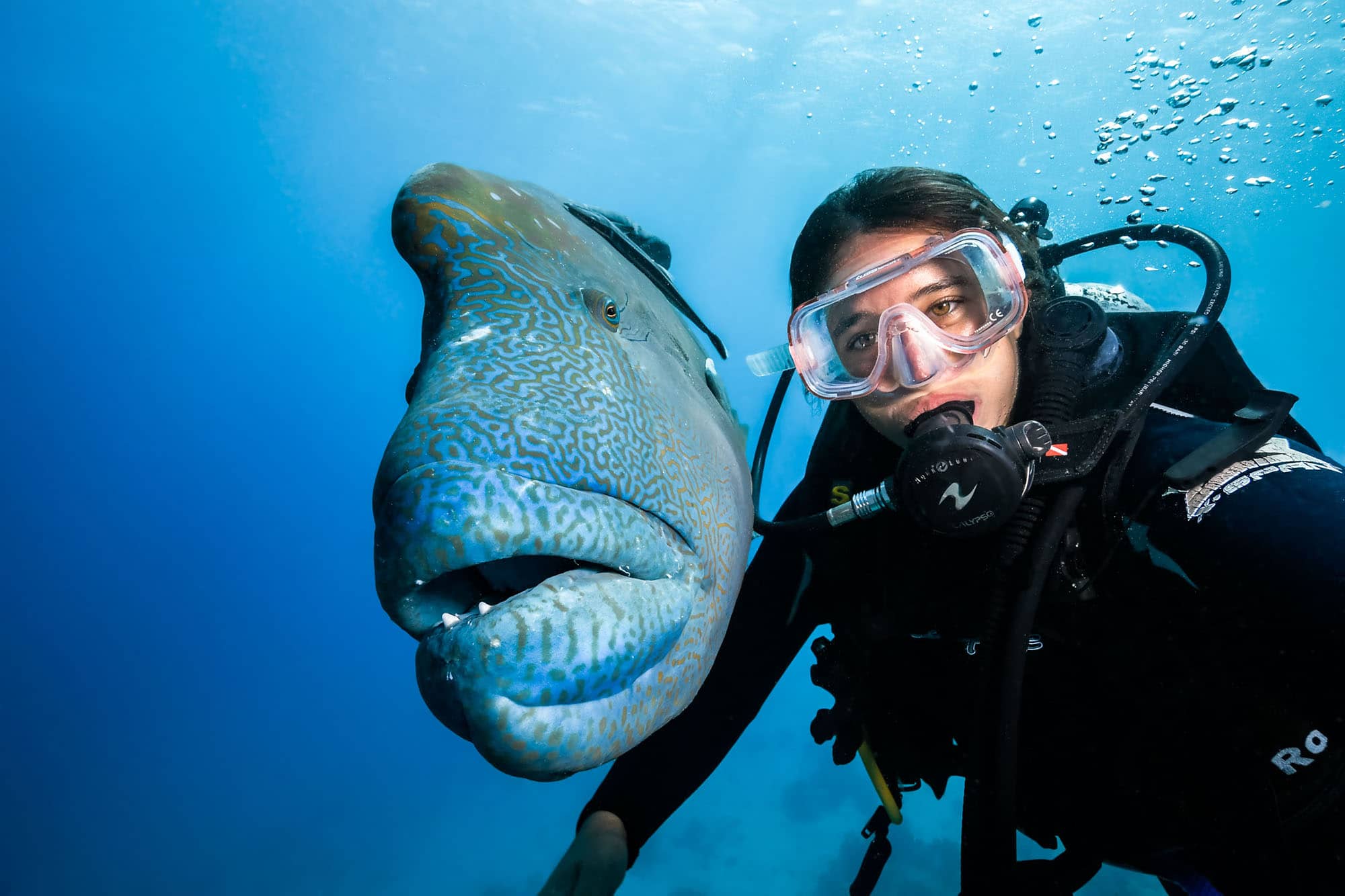 Underwater Photographer | Angelina Pilarinos Photography